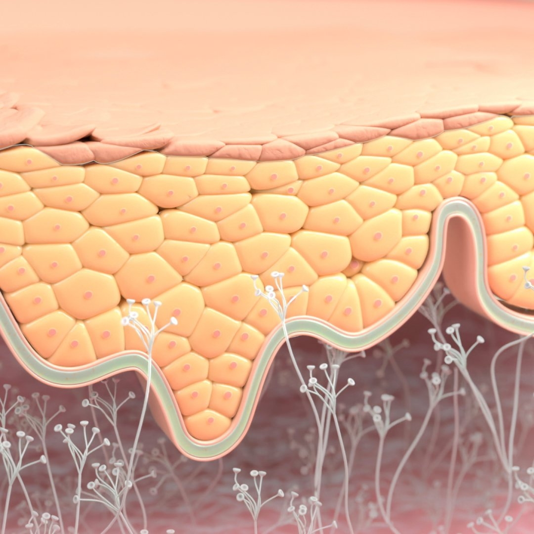 Atoderm Intensive Balm | cream for very dry skin prone to discomfort